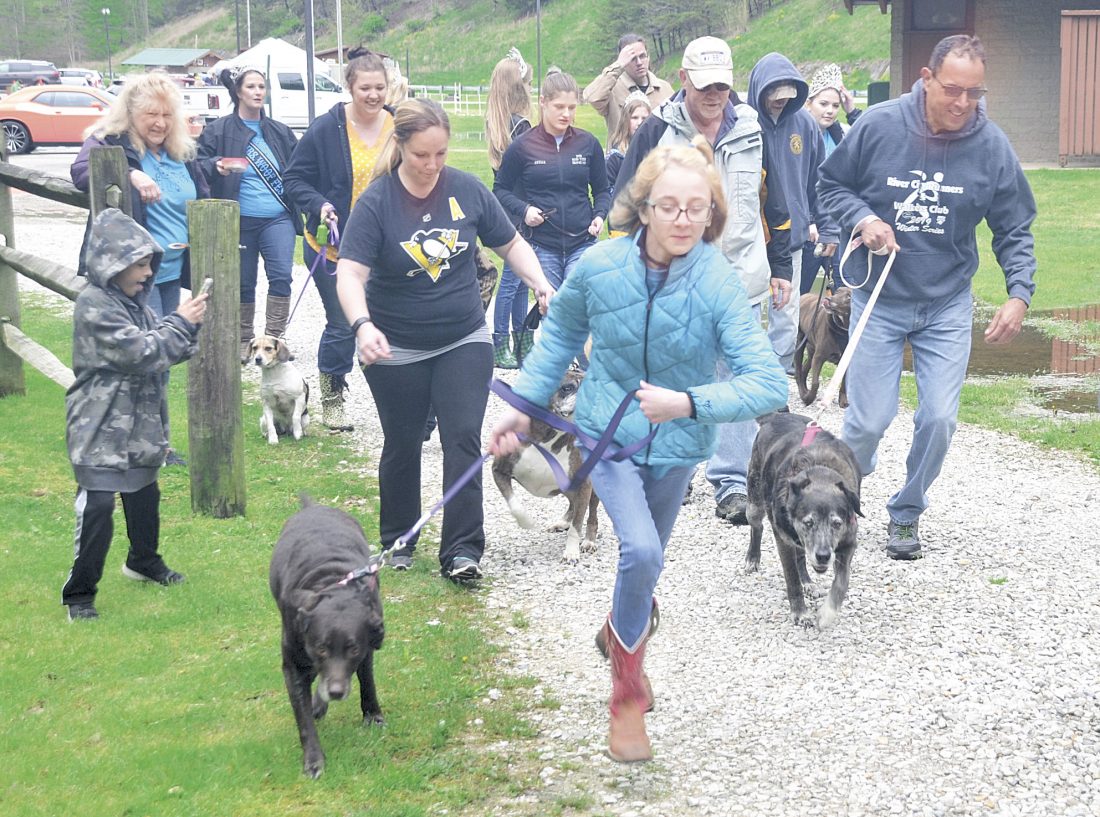 Dogs have their day at Mountwood Park’s Woof Fest | News, Sports, Jobs ...